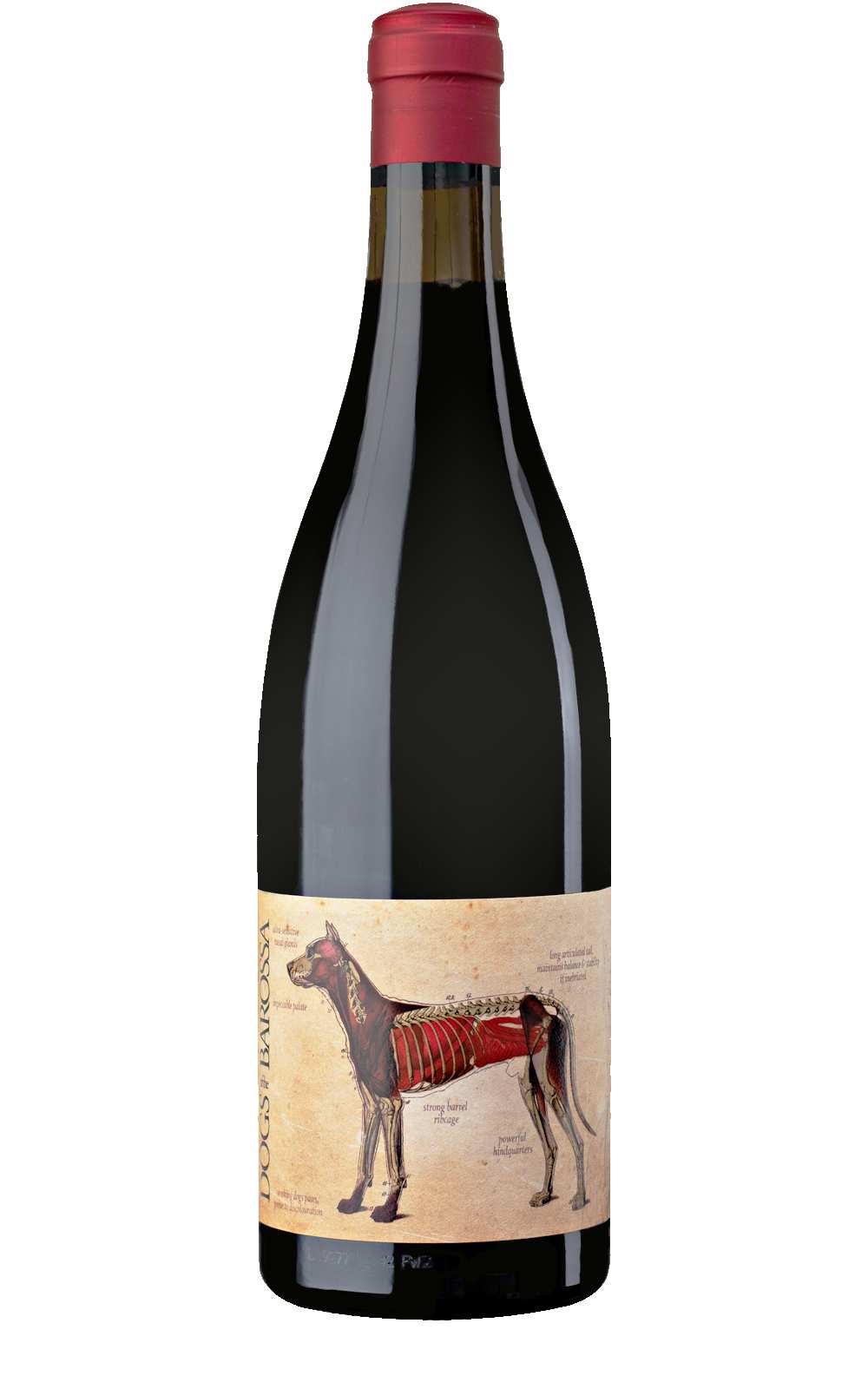 RedHeads Dogs of the Barossa 2018 | Petit Clos