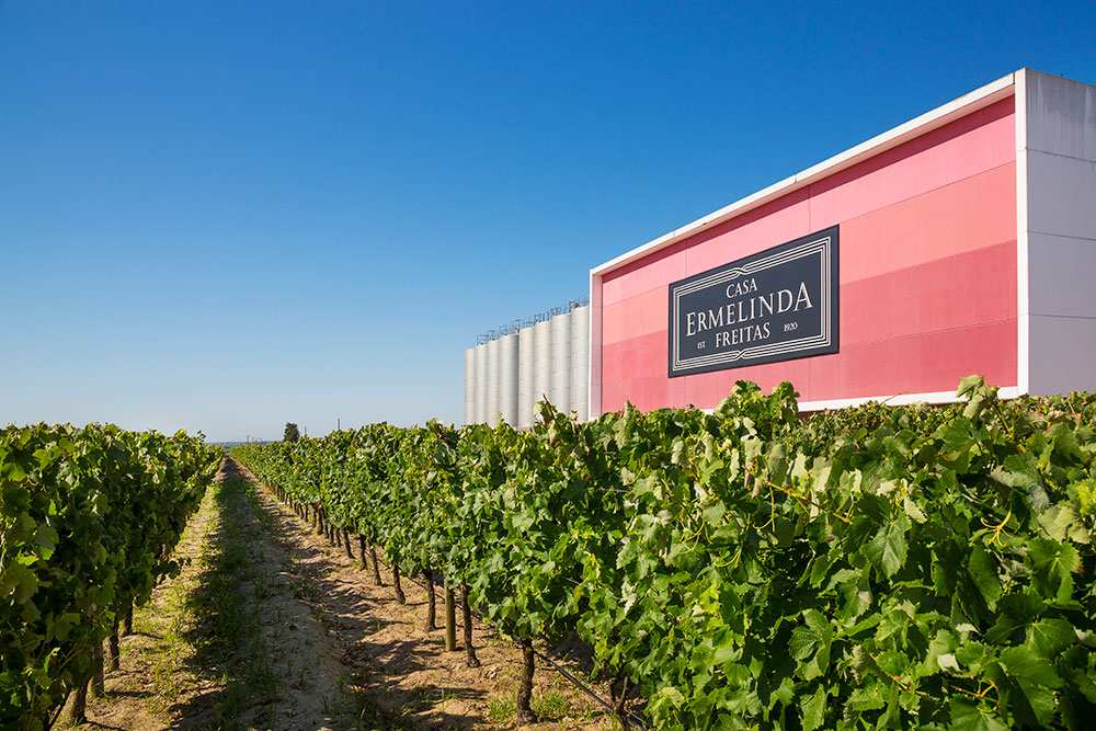 Casa Ermelinda Freitas | Wijnhuis | Petit Clos