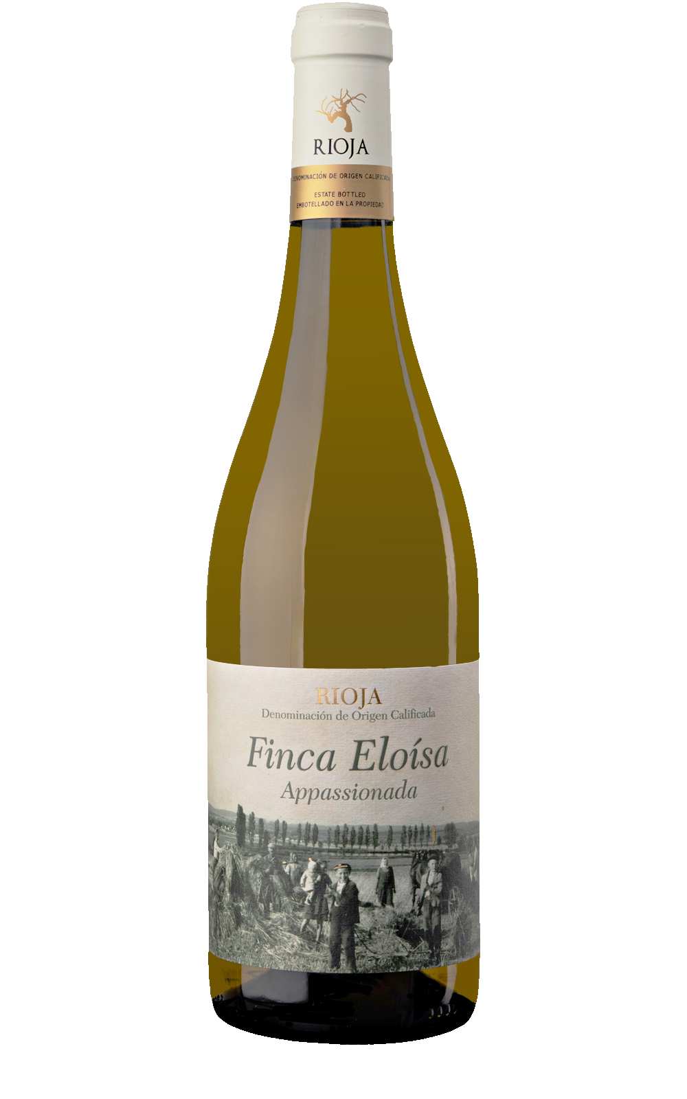 Finca Eloísa Appassionada Blanco 2023 | Petit Clos